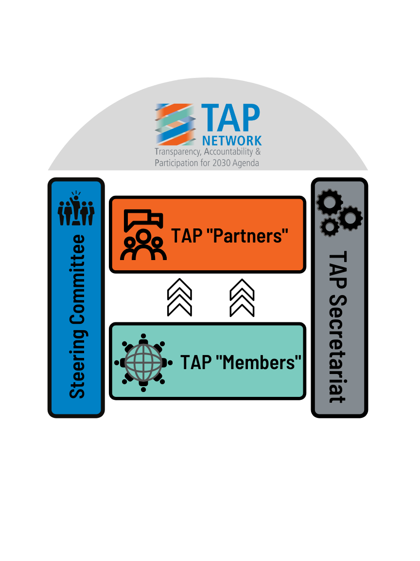 Strategic Plan - TAP Network